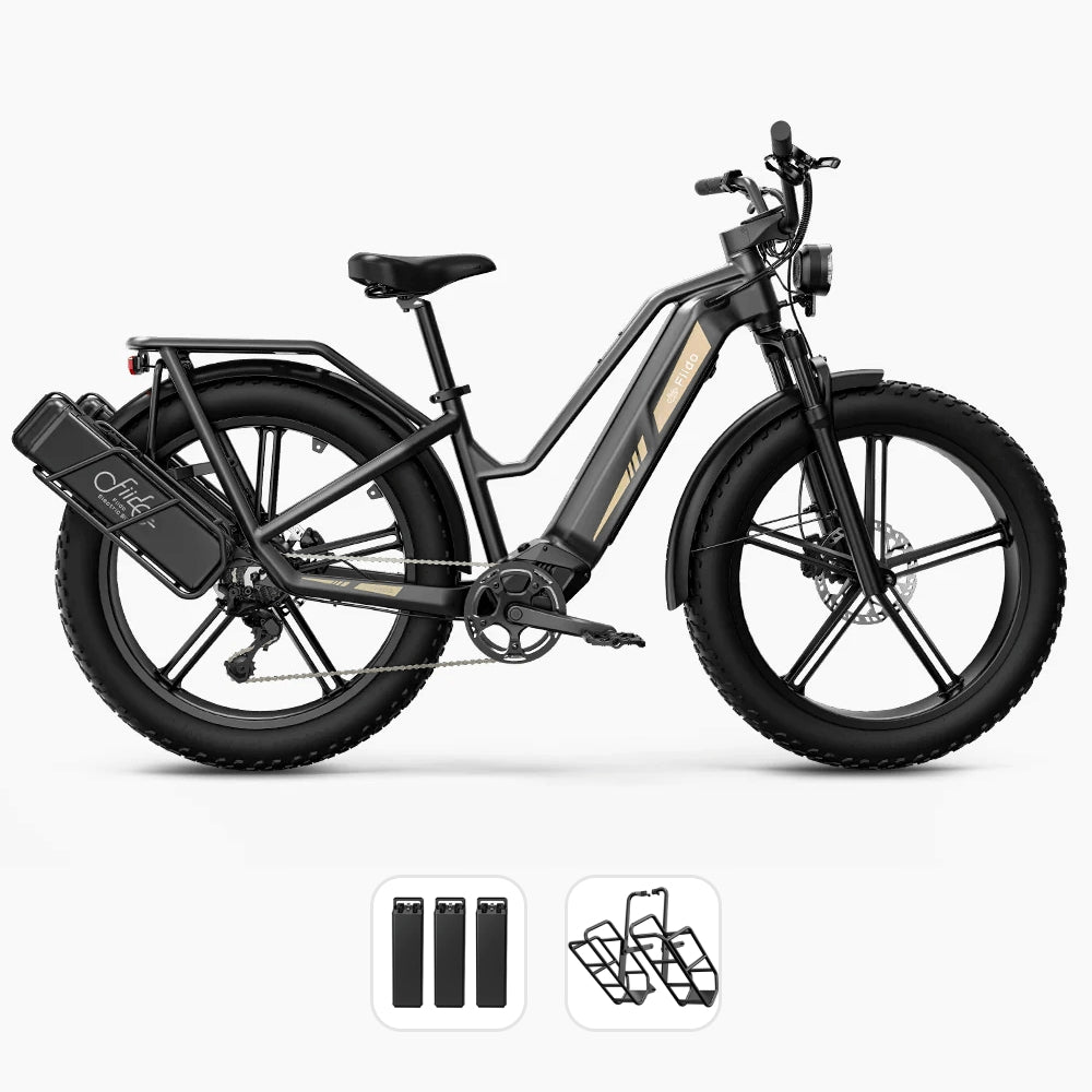 Fiido Titan Robust Cargo Electric Bike with Torque Sensor and UL certi
