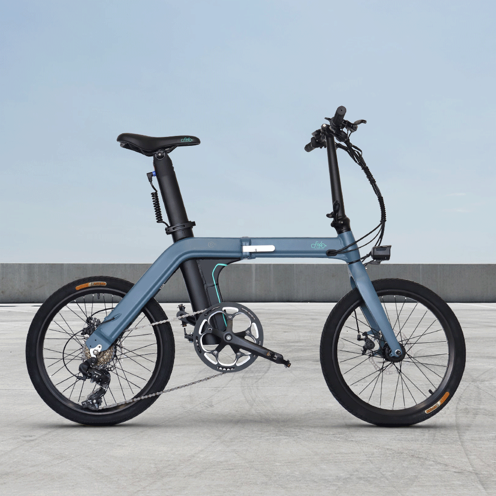 Fiido D11 - Folding Lightweight Long Range Ebikes