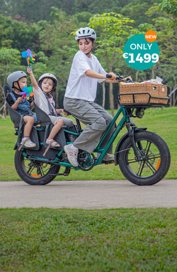 Best Electric Bike Brand Online Shop - Fiido Company
