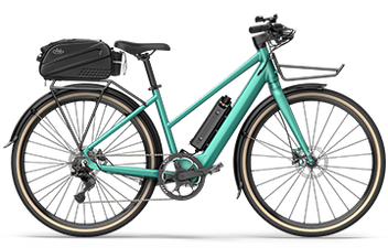Best Electric Bike Brand Online Shop - Fiido Company