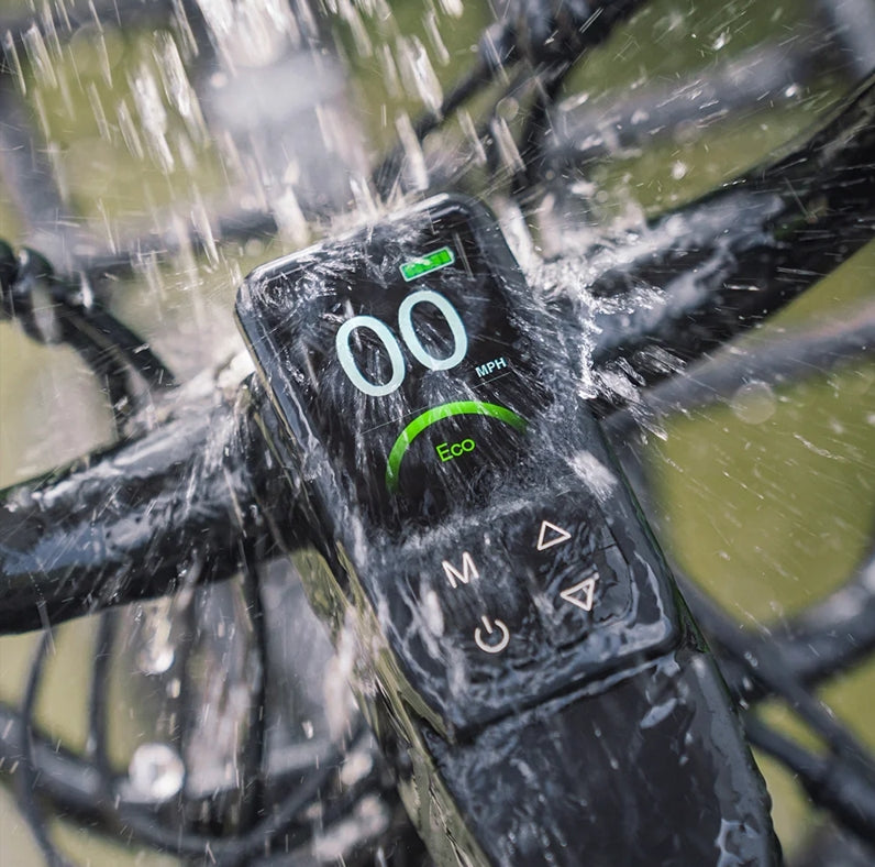 Fiido Titan - Off-Road Cargo EBike with Fat Tire