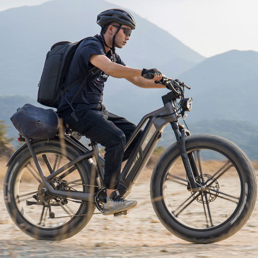 Fiido Titan - 400km ultra-long range Fat Tire Ebikes