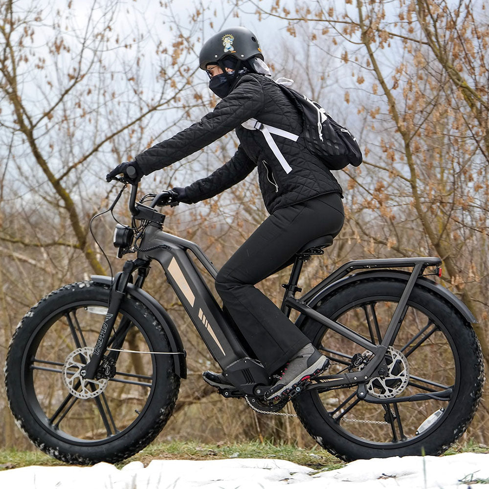 Fiido Titan - 400km ultra-long range Fat Tire Ebikes