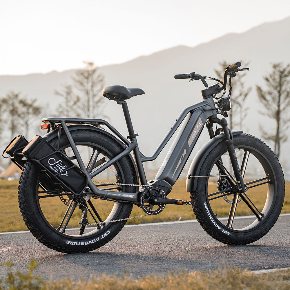 Fiido Titan - 400km ultra-long range Fat Tire Ebikes