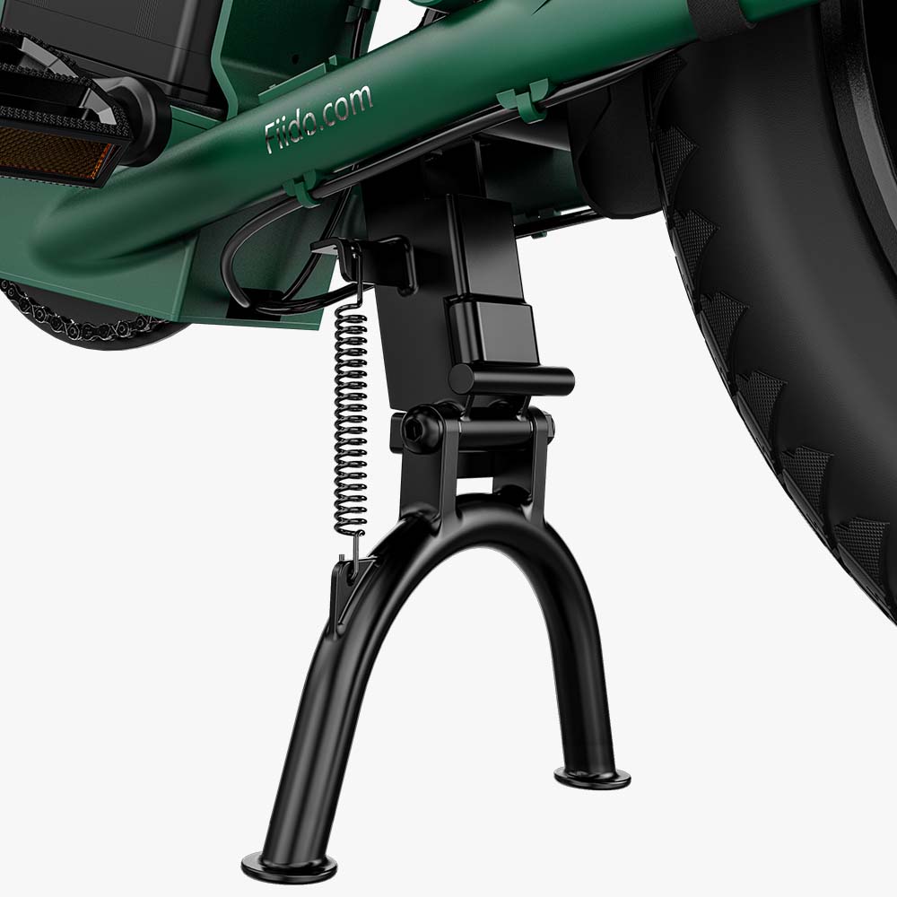 Fiido EU T2 Longtail Cargo Ebike for Versatile All Terrain